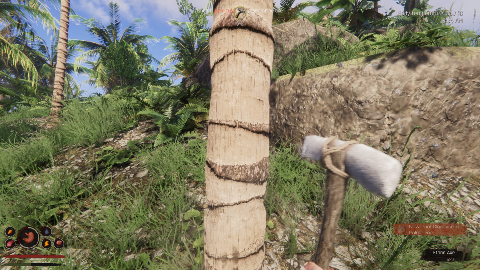 Project Castaway – Starting Basics – Nevergotfat