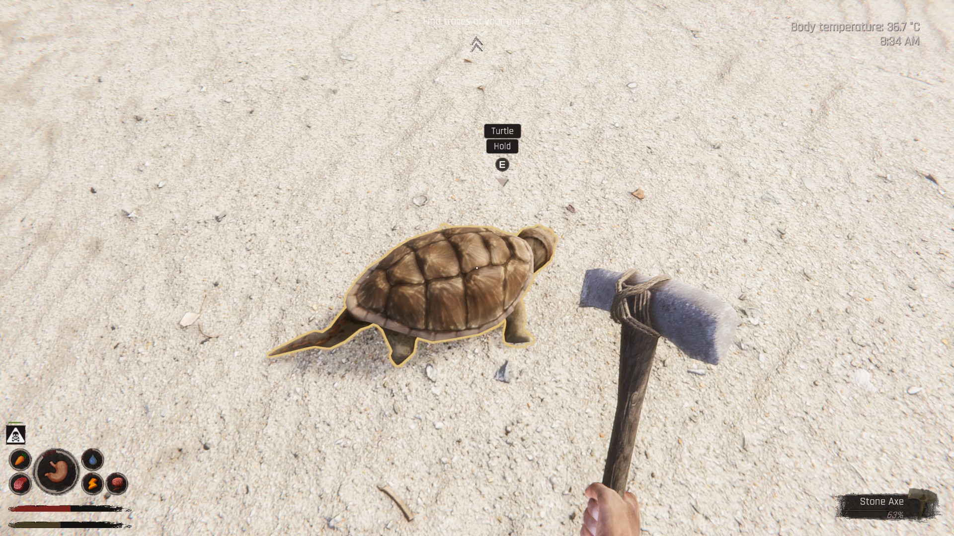 Project Castaway – Starting Basics – Nevergotfat